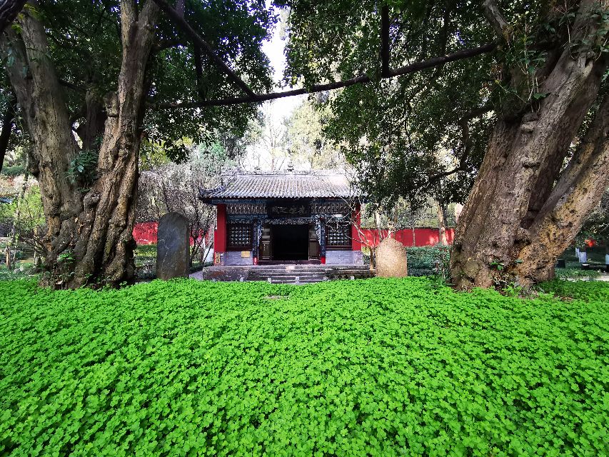 People come to Hanzhong~ Visit Wuhou Tomb and Wuhou Temple - iNEWS