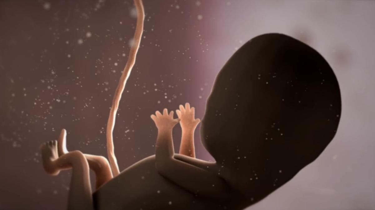 How are fingerprints formed?What is its original function?Do you really ...