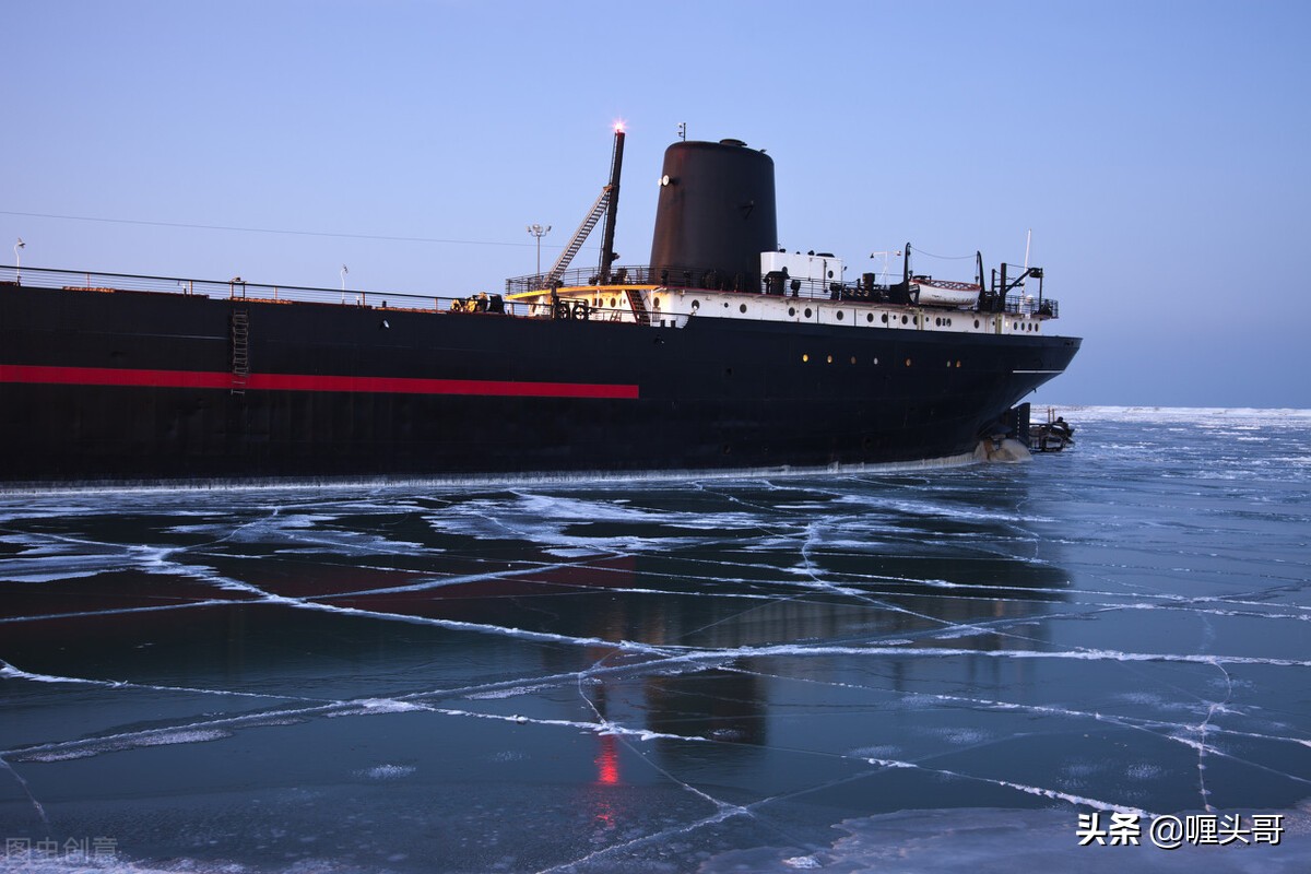 Can lighthouse jellyfish live forever?Scientist: This jellyfish also ...