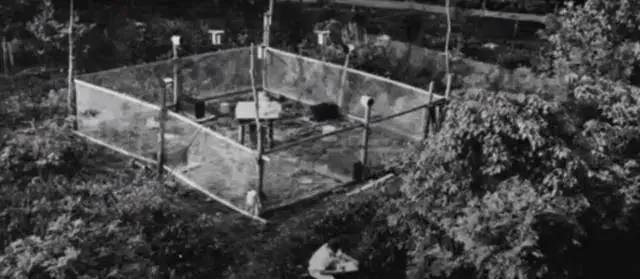 John Calhoun's cosmic experiment 25, how terrifying is it? - iNEWS