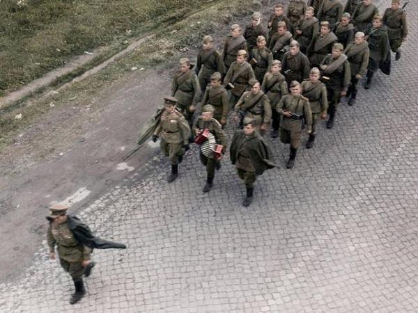 Tenacious "cannon fodder": 180,000 German troops surrendered in ...