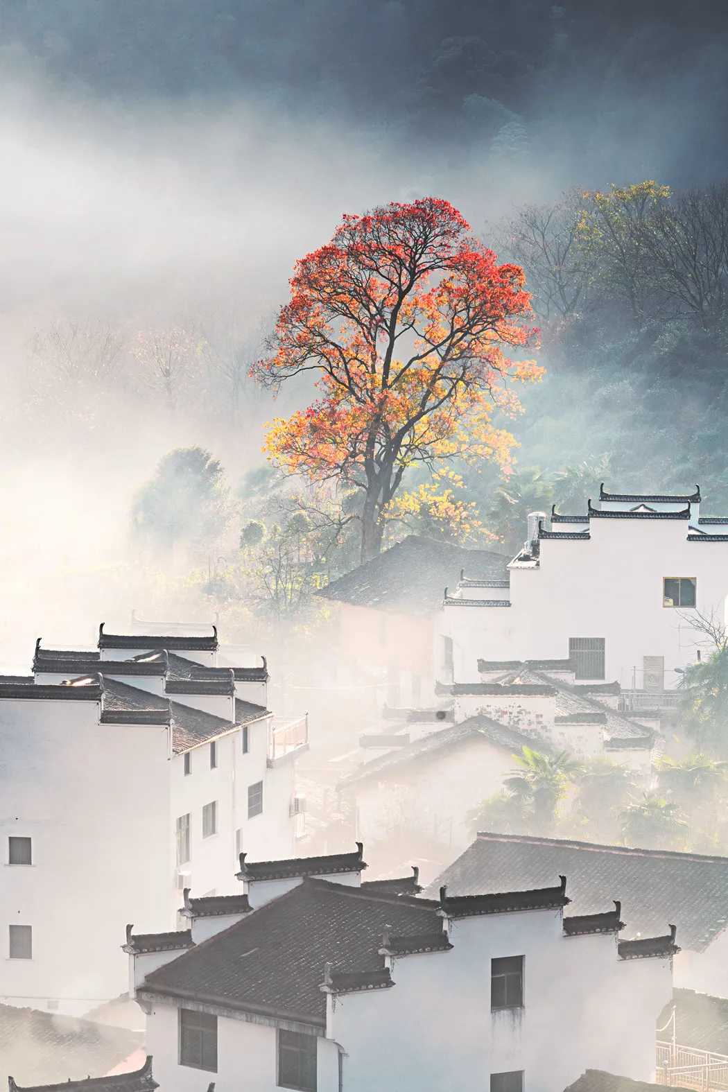 Wang Ziqian: Black and White Poetry and Ink Style of Hui-style Houses ...
