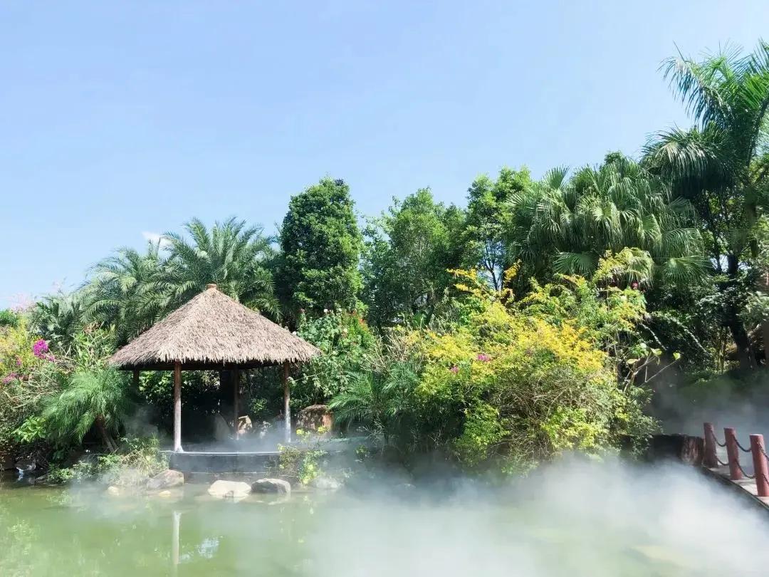 Cooled down!I accepted this "Guide to Hot Springs in Shenzhen and ...
