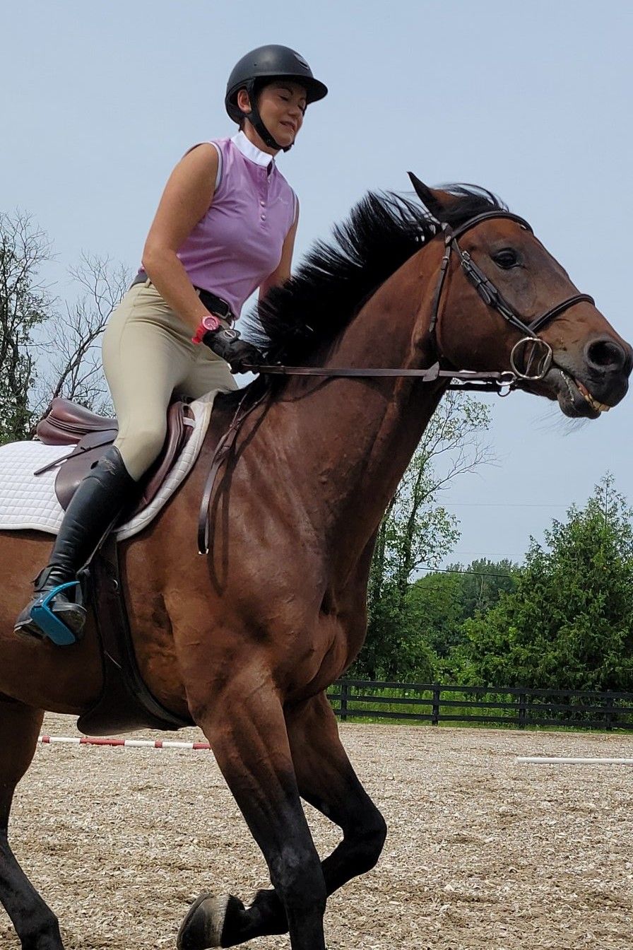 Enjoy the horse riding life in a Canadian private estate - iNEWS