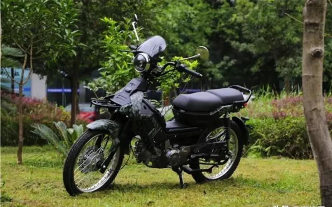 Outing and exploring the forest road shuttle-Jialing coco (cross) version to accompany you to ...