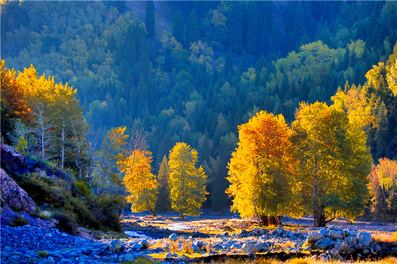 The Tianshan Mountains in Xinjiang enters autumn, colorful - iNEWS