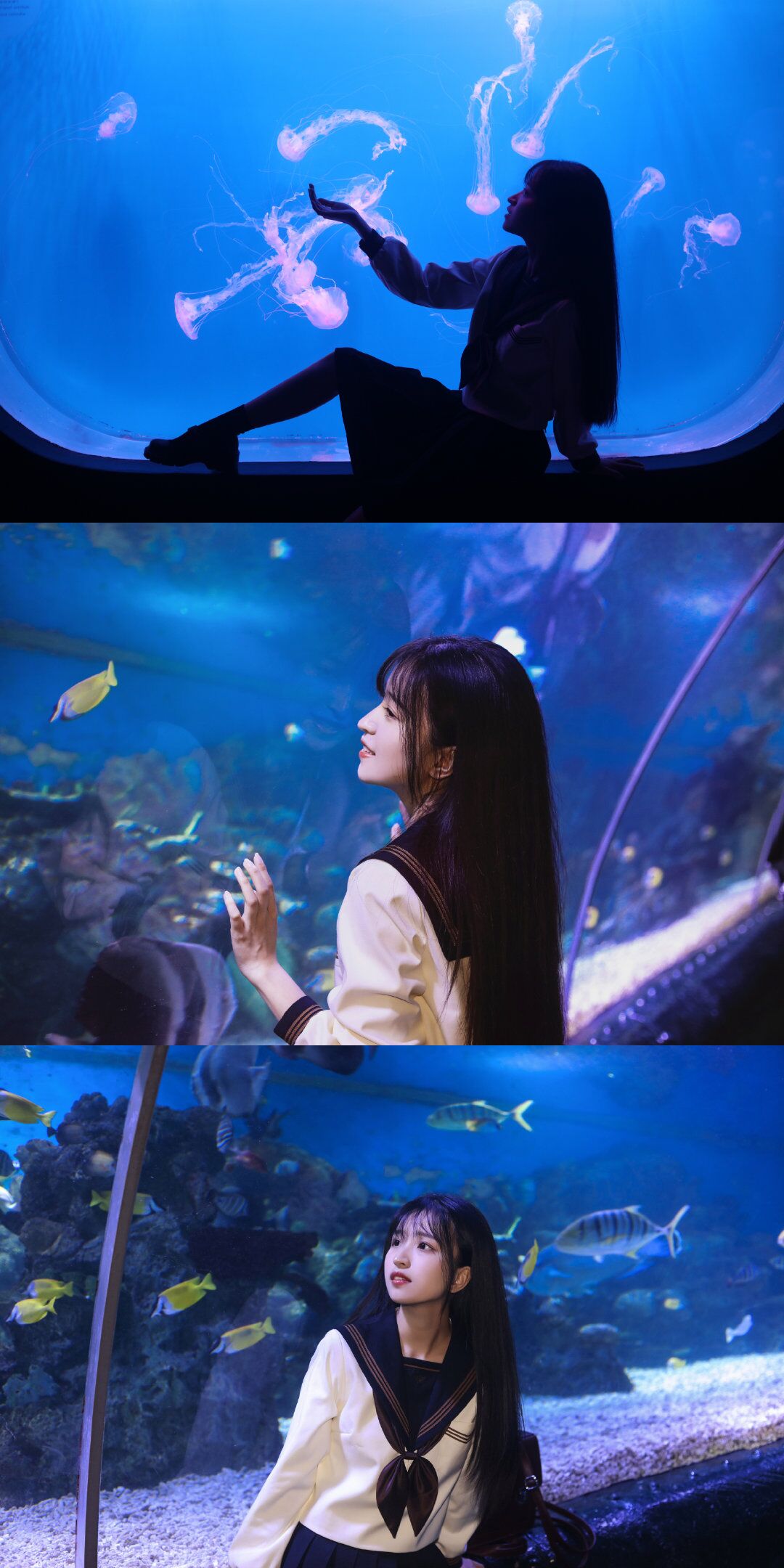 Aquarium Deep Sea Girls - iNEWS