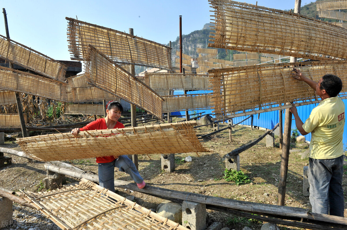 Guangxi traditional food-dried lotus root fans, how to make it?Netizen ...