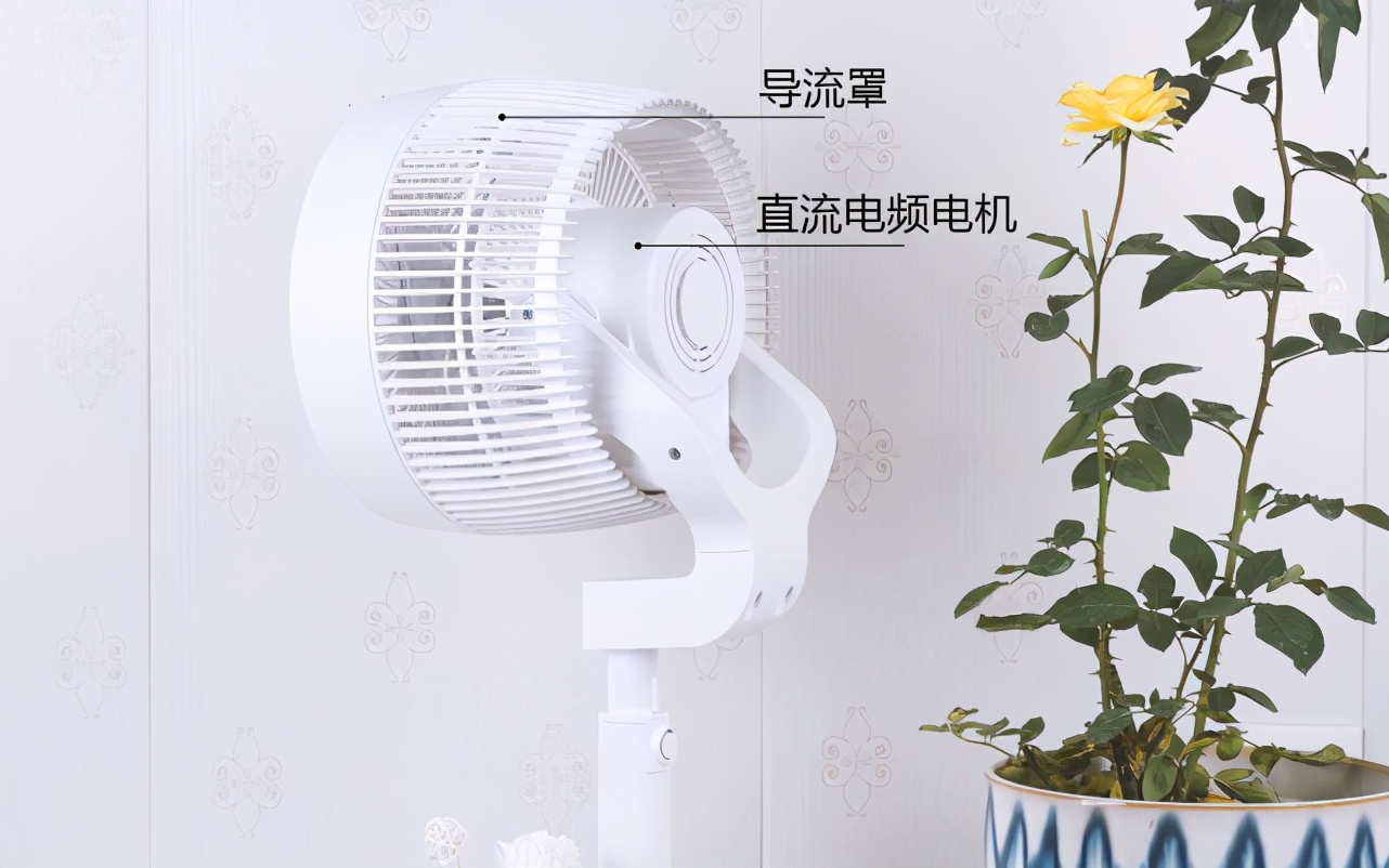 Is the summer wind coming?Shulu's 3D monsoon air circulation fan ...
