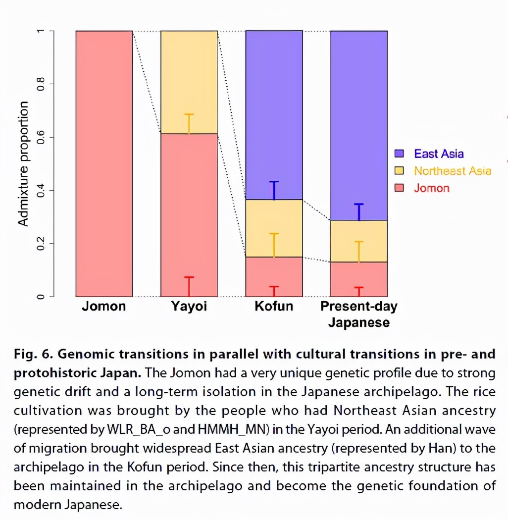 "Science": Ancient Japanese DNA shows that Japanese ancestors mainly ...