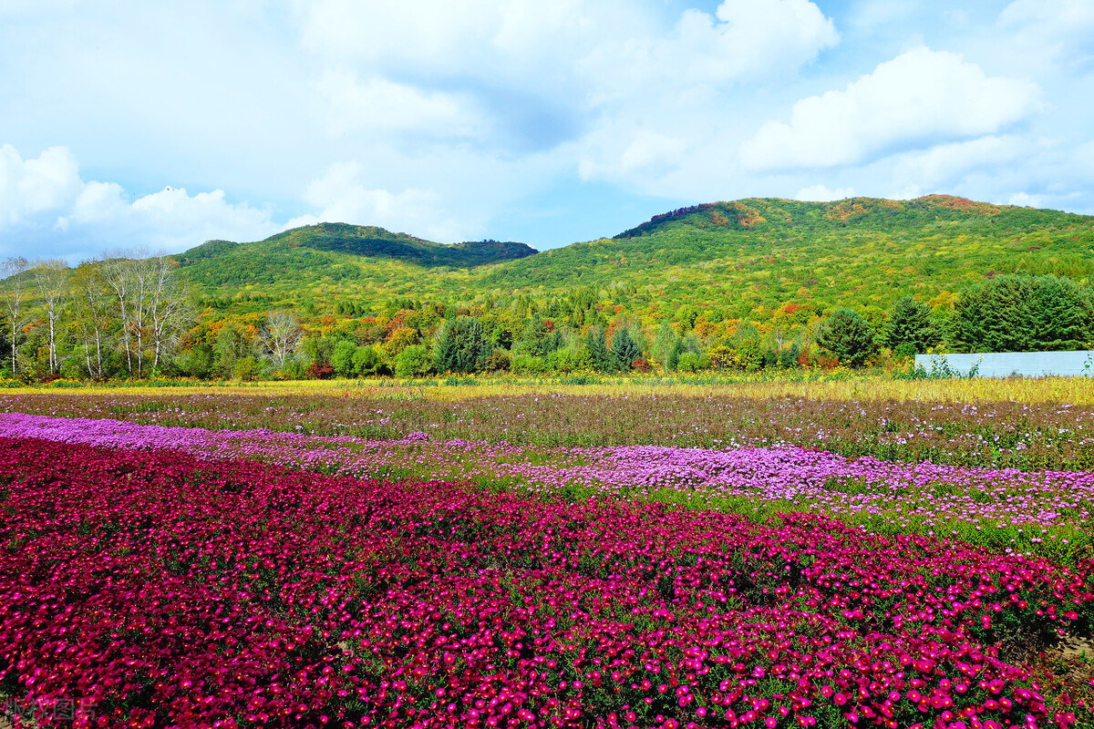 The beauty of Yanbian Korean Autonomous Prefecture - iNEWS