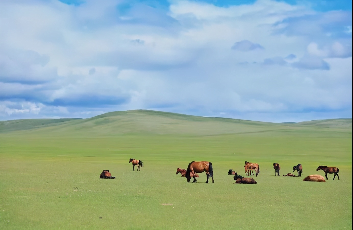Hulunbuir Grassland-the most beautiful grassland in China - iNEWS