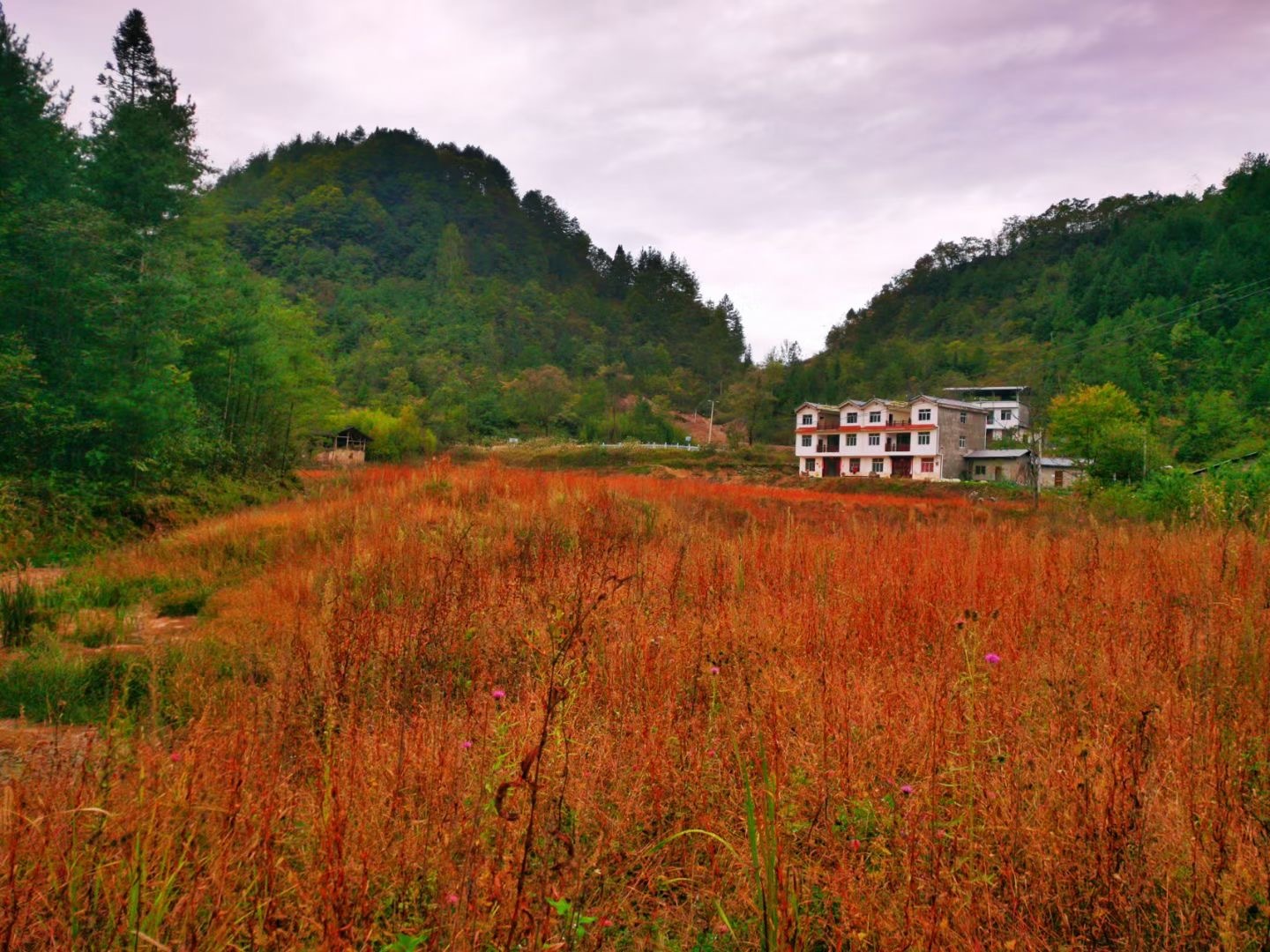 Chongqing Chengkou: Appreciate the autumn scenery and taste the charm ...