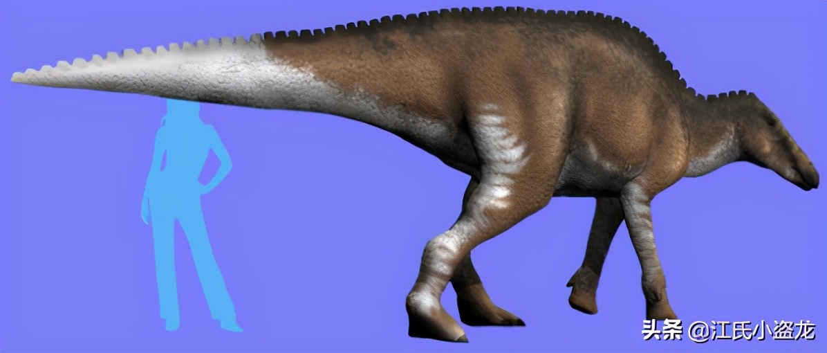 How many dinosaurs did paleontologists name in 2020? - iNEWS