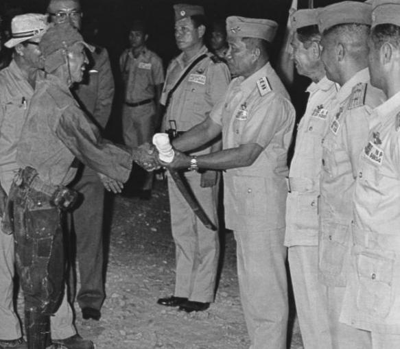 The Japanese soldier who surrendered last, hiding in the mountains and ...