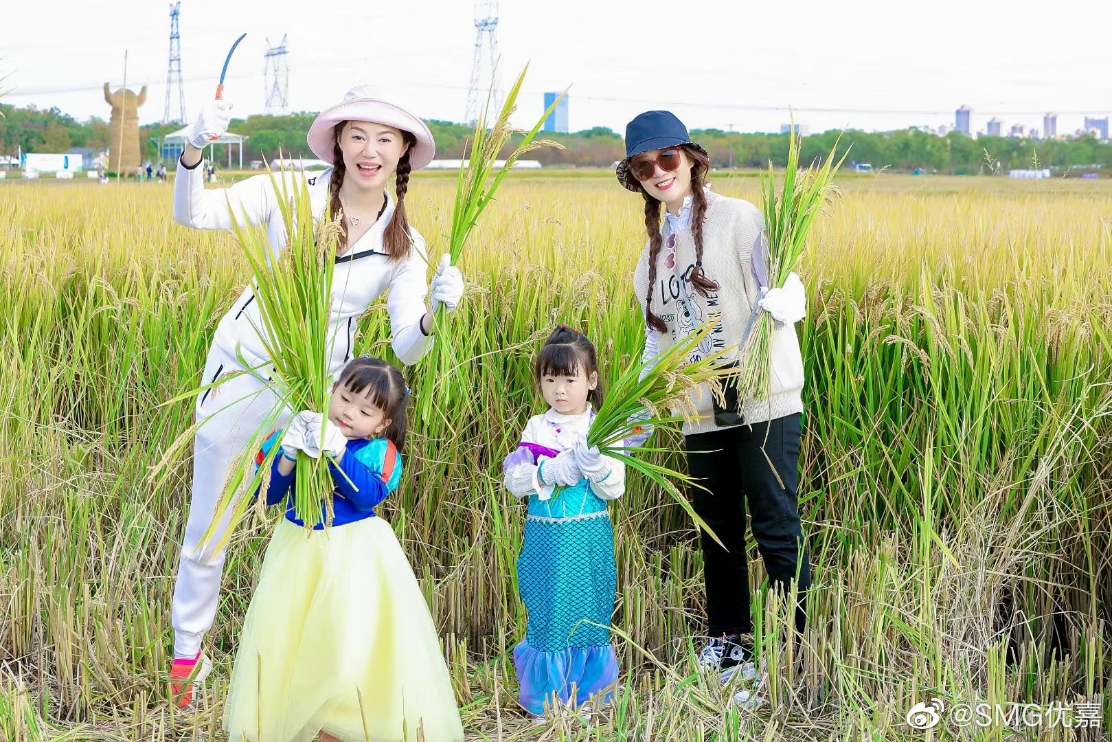 SMG host Yujia Sun cuts rice with her child in the fields, and her ...