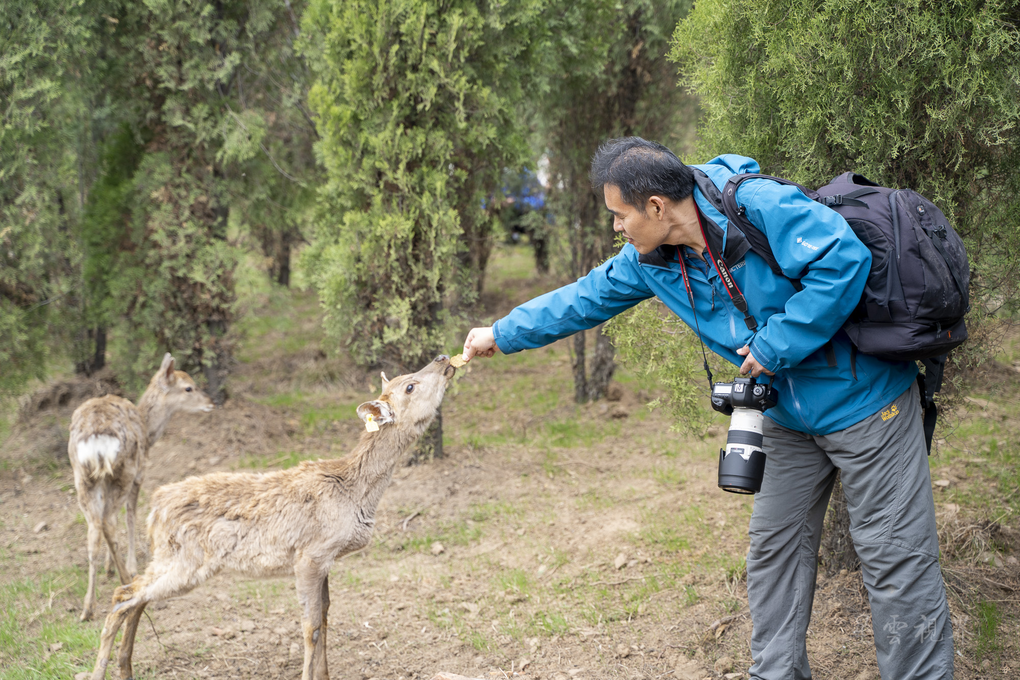 Spring tour to Fuxi Mountain, walk into Yunshang Ranch, overnight in ...