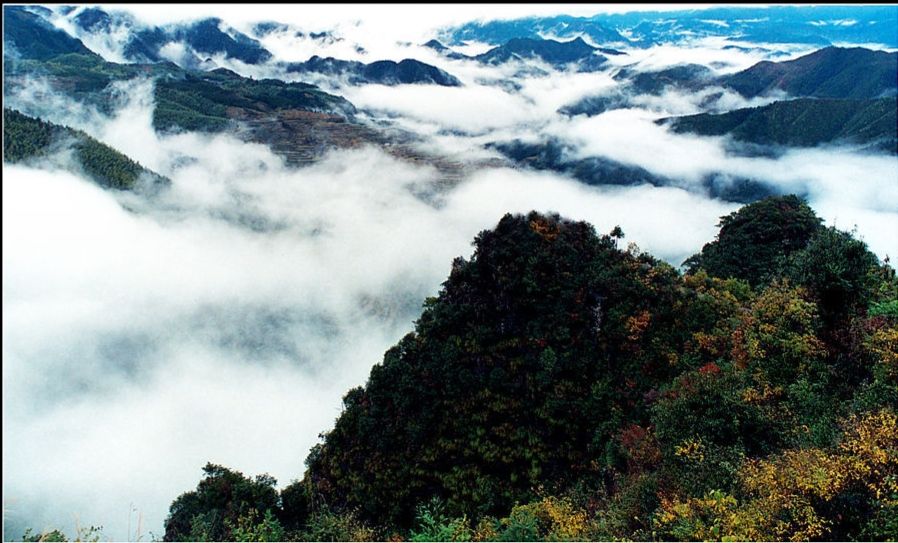 The Second Experience of Reading "Xi Shan Qin Kuang"——Seeing Quietness ...