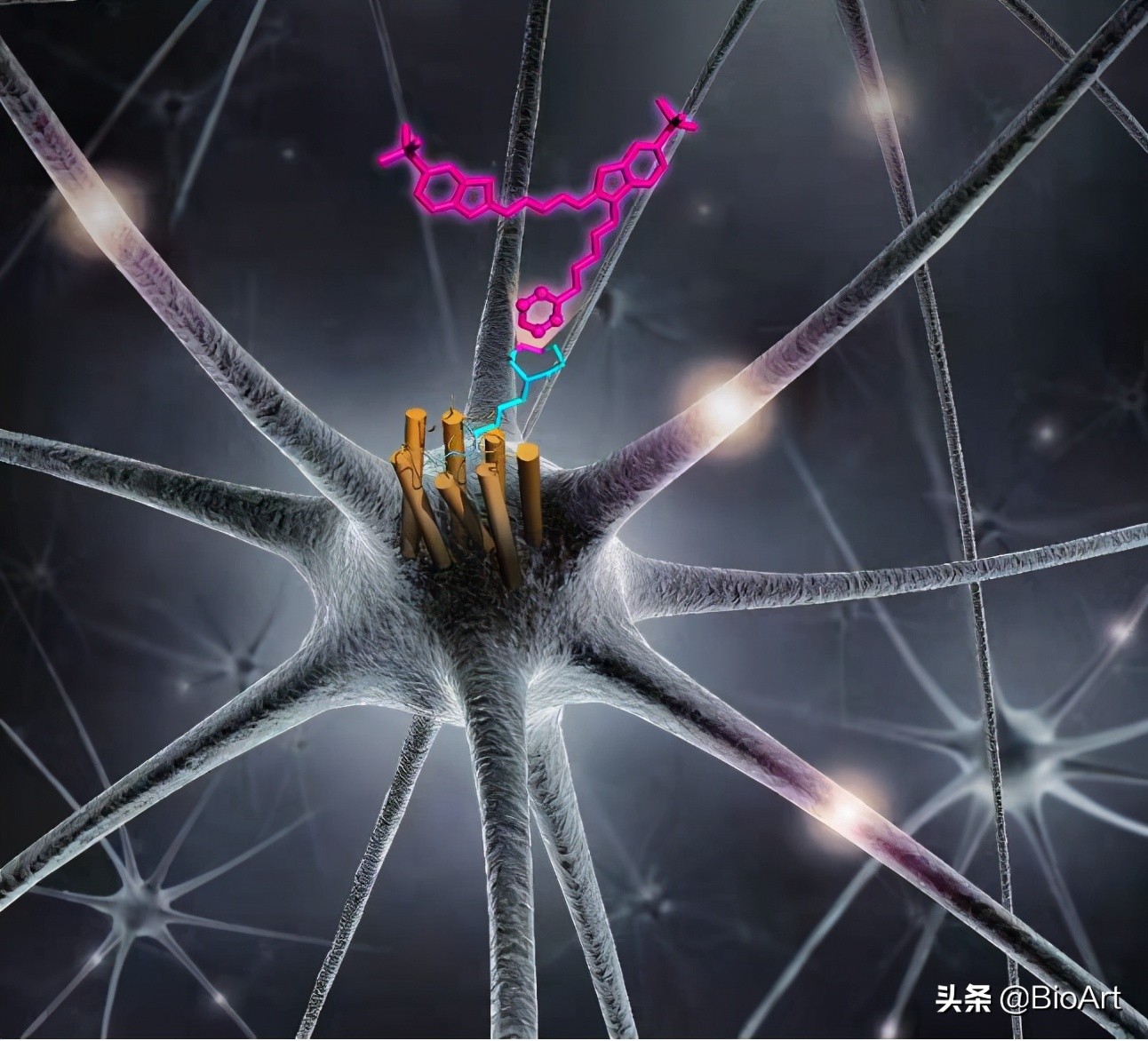 Zou Peng/Chen Peng cooperated in the development of membrane potential ...