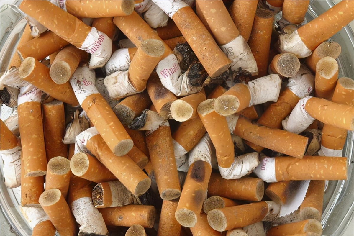 People who smoke frequently: try to smoke these types of cigarettes as ...