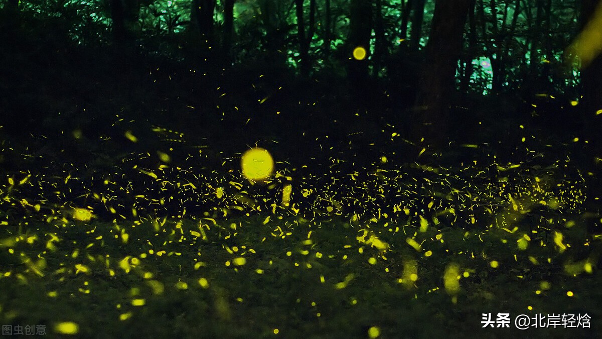 Do you understand the light-emitting principle of fireflies? - iNEWS