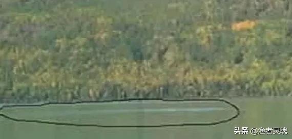 Can a fish grow to 124 meters?Can the Kanas Lake big red fish-Zheluo ...