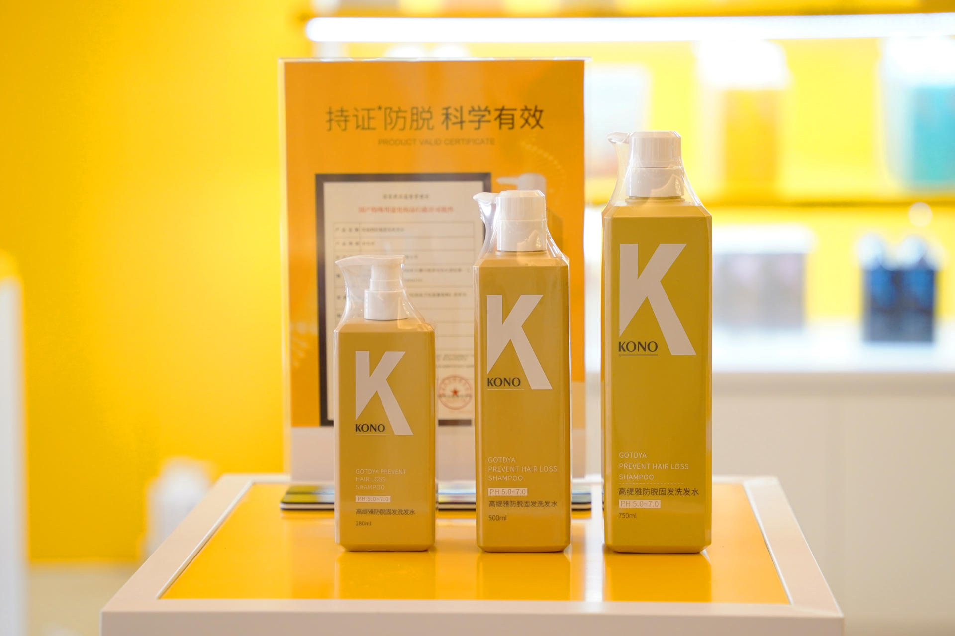 KONO Brand Strategy Conference: What is behind the breakthrough? - iNEWS