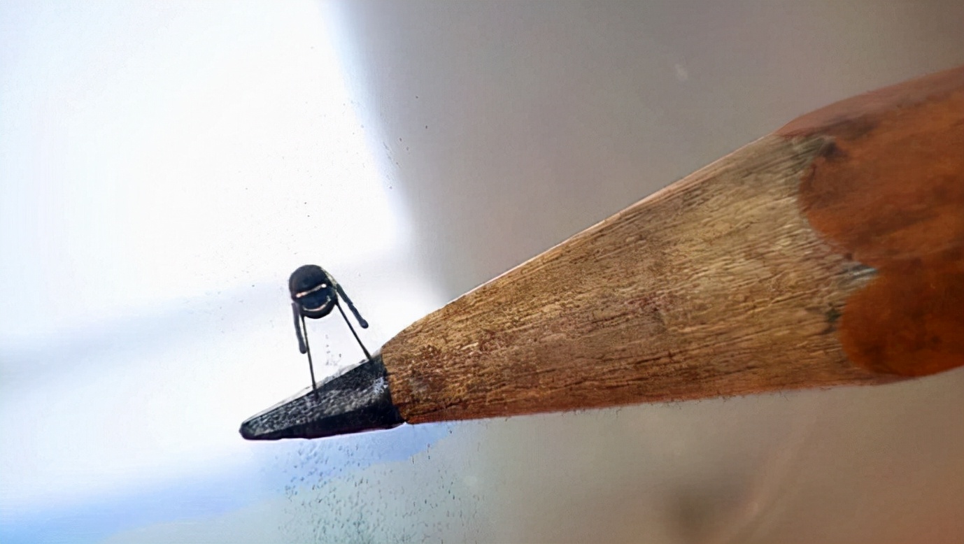 Two-dimensional creatures may be more terrifying than star behemoths. A ...