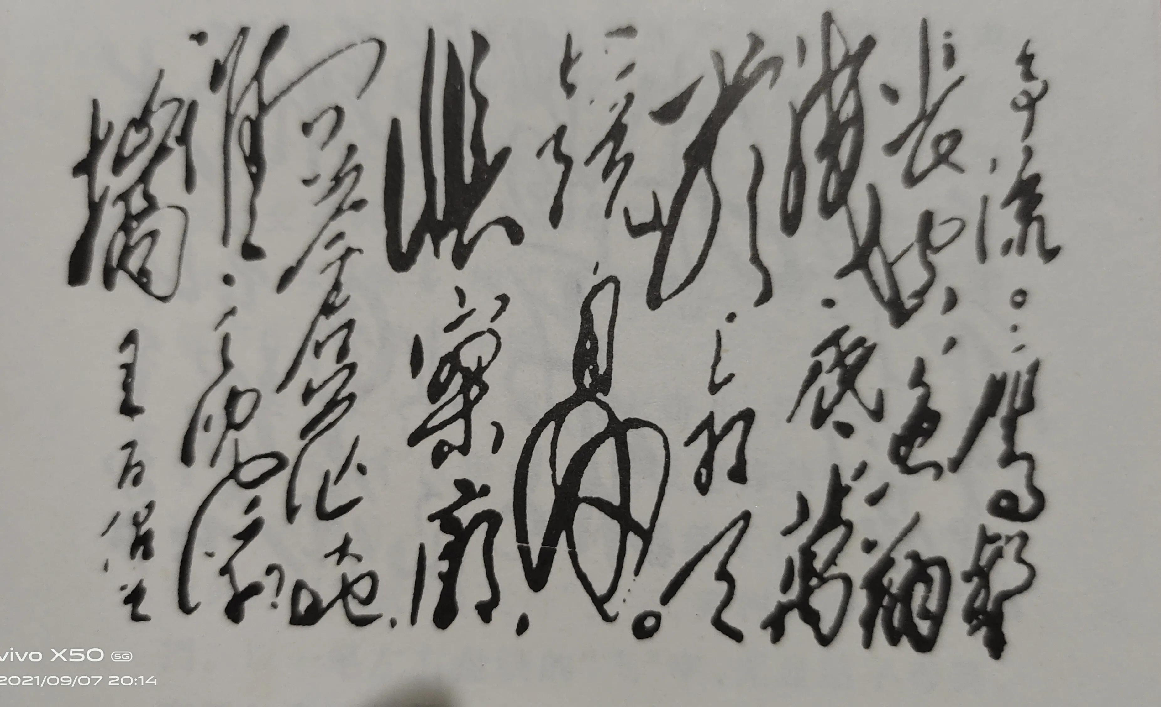 I have been learning to write mao style calligraphy for many years - iNEWS
