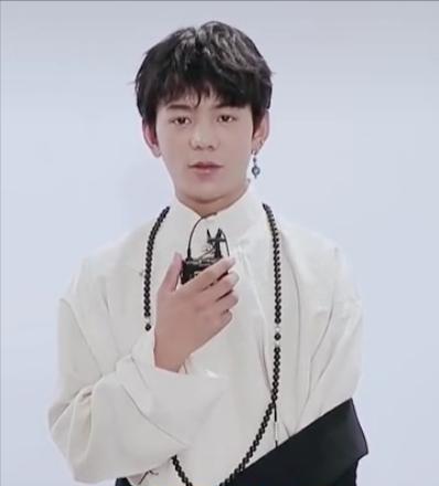 Ding Zhen zoomed in and appeared handsome in variety shows, once again ...