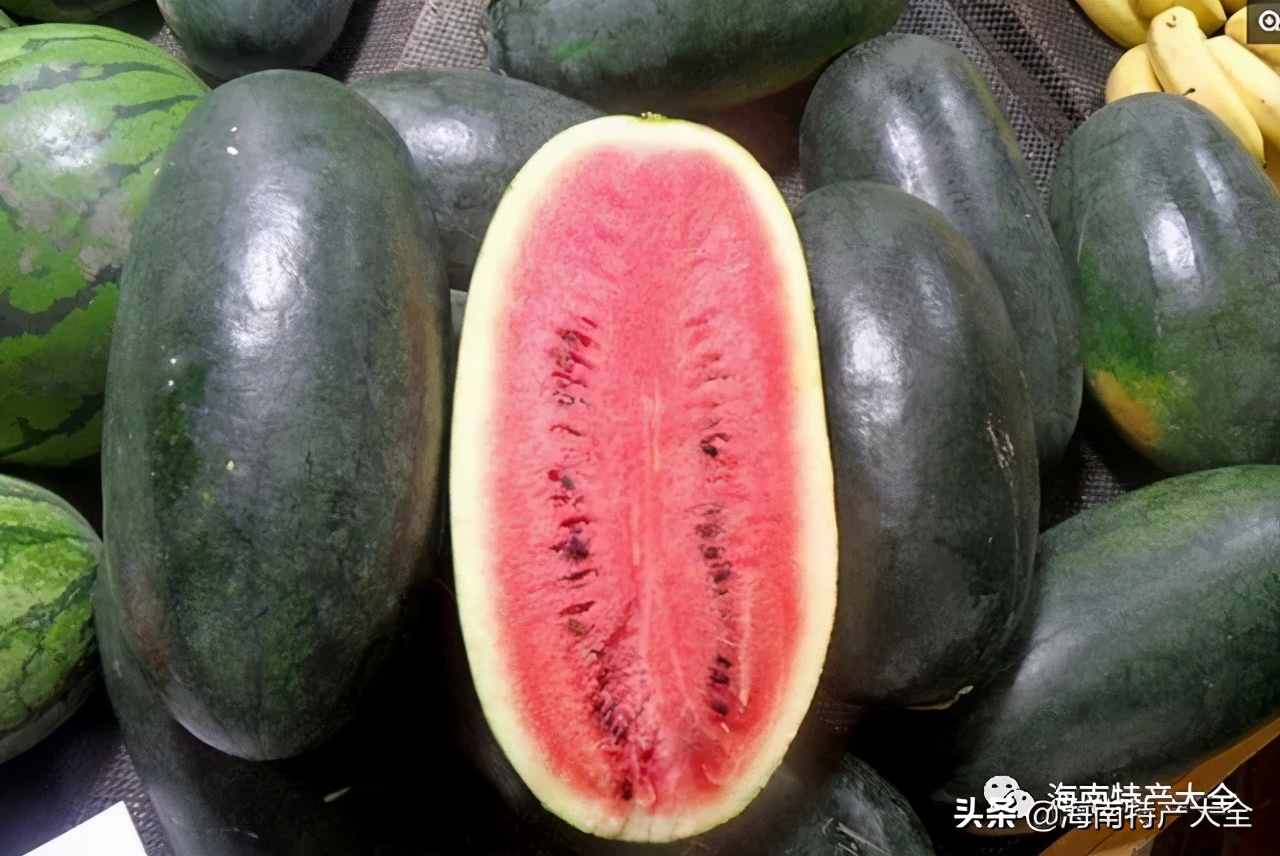 Introduction to Hainan Tropical Fruits (Part 2) - iNEWS