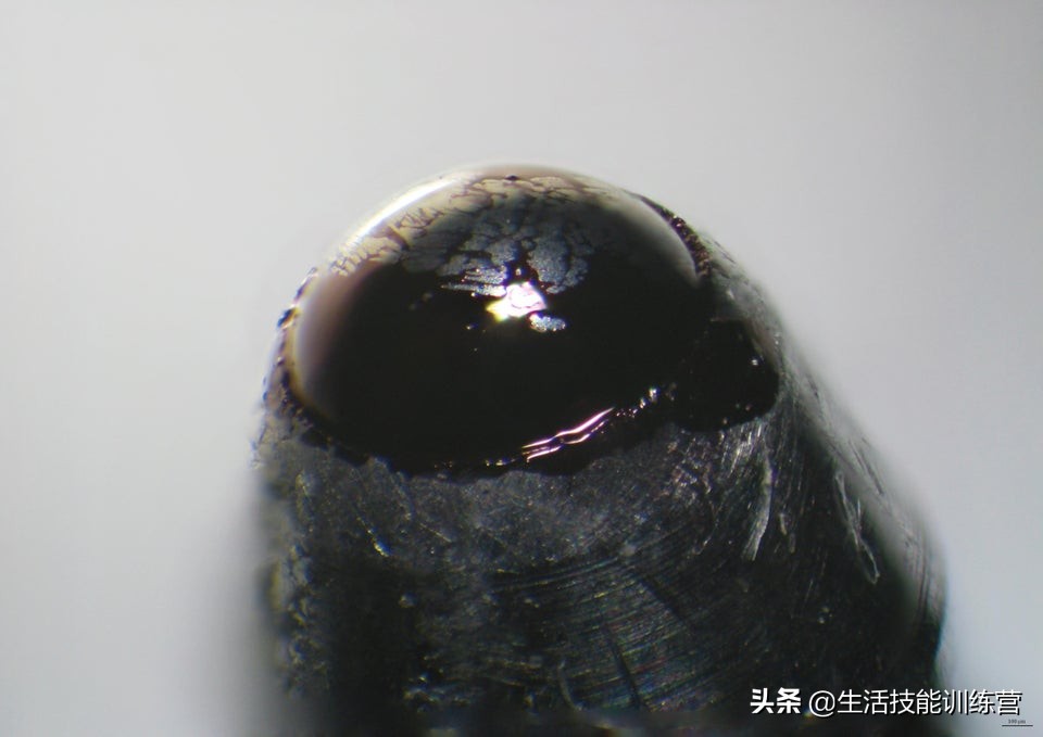 Wonderful microscopic world, 30 pictures show how everyday objects look ...