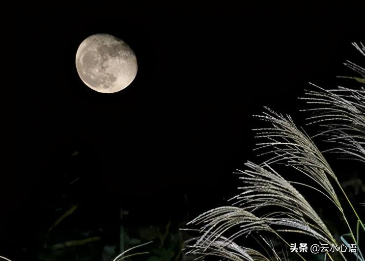 Yang Wanli's first masterpiece is easy to understand and full of ...