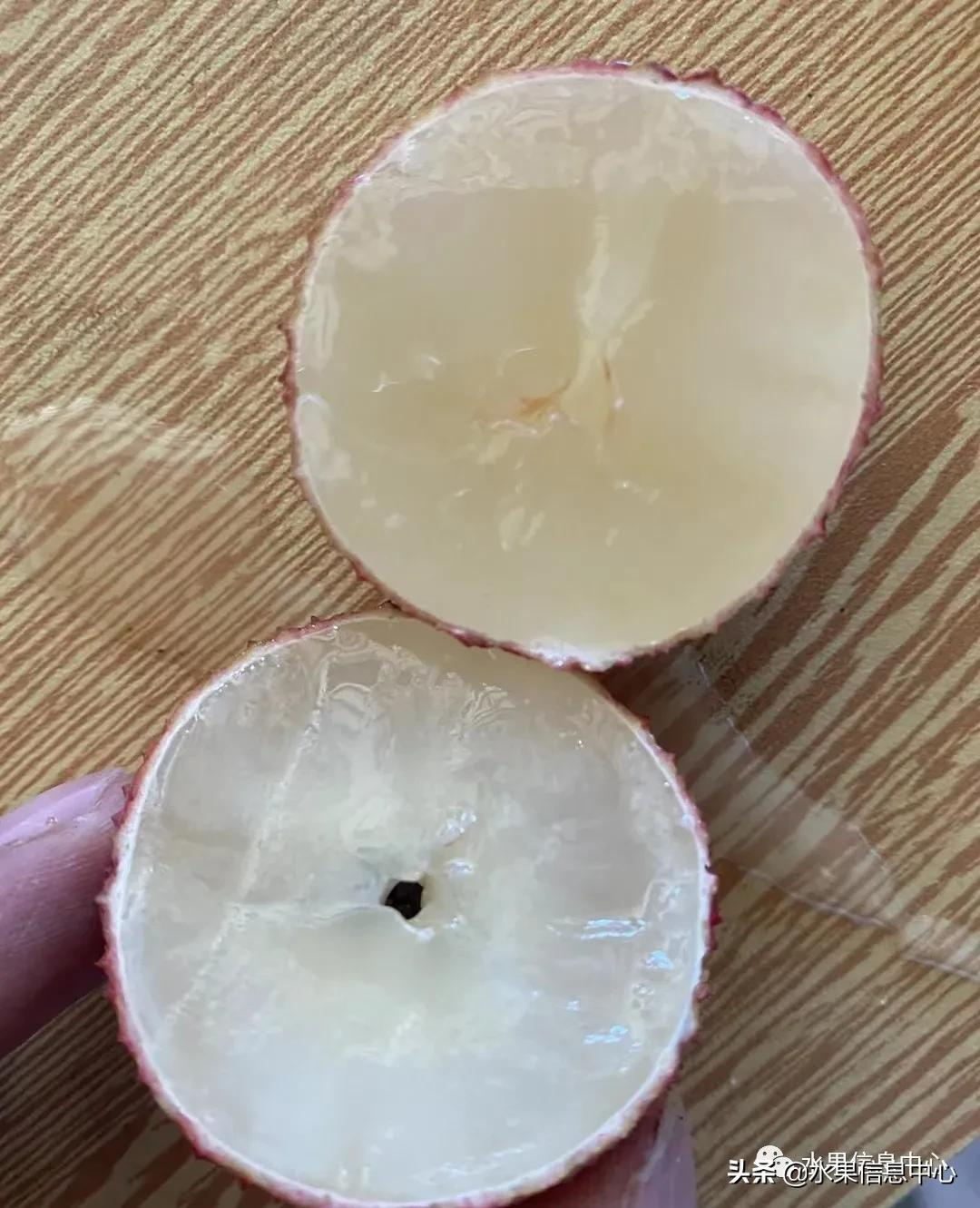 Comparison and evaluation of 10 types of lychees: Guiwei, Nuomi Cong ...