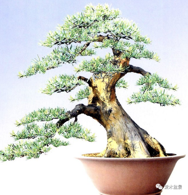 A Luo Han Song's initiality - iNEWS