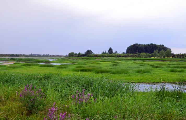 What was the ancient Yunmeng Lake like? A scientific perspective might ...