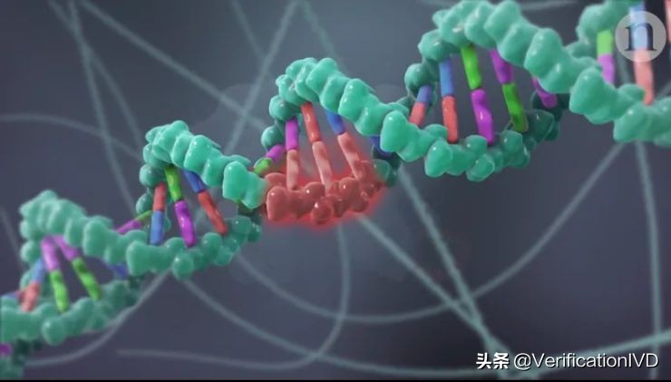 Interpretation of 2020 Nobel Prize Technology: "Genetic Scissor" CRISPR ...