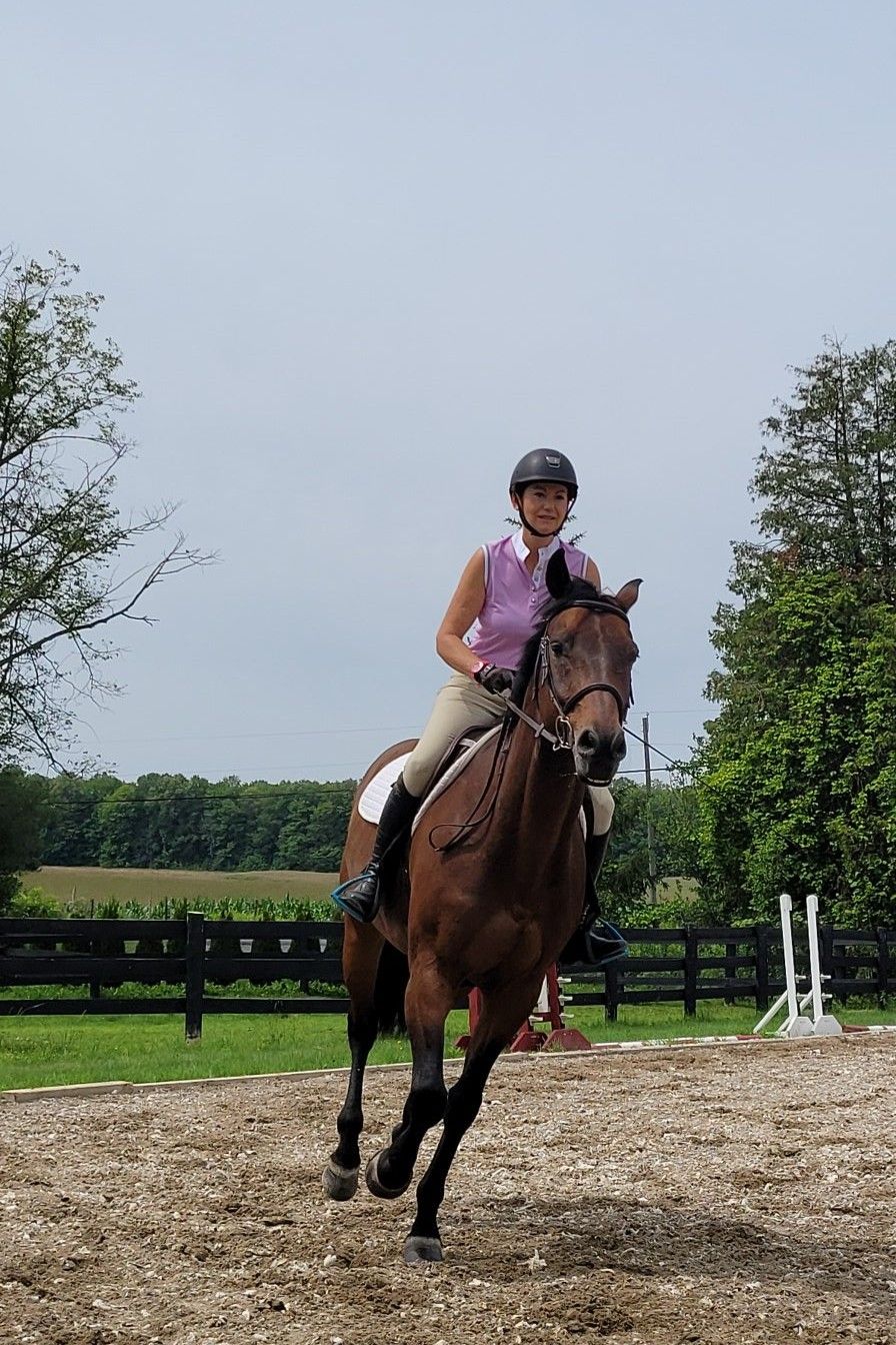 Enjoy the horse riding life in a Canadian private estate - iNEWS