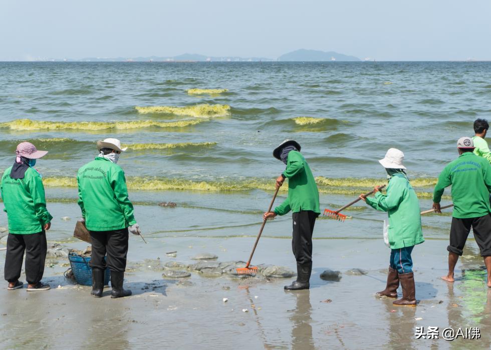 The 30 most polluted beaches in the world - iMedia