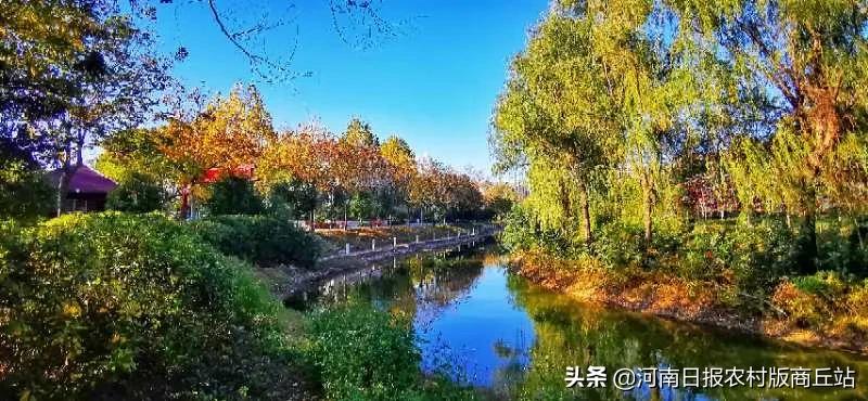 Zhecheng: The early winter scenery is intoxicating - iNEWS