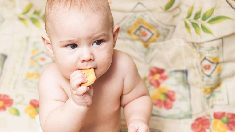How to choose healthy and delicious baby biscuits?Hurry up and get - iNEWS