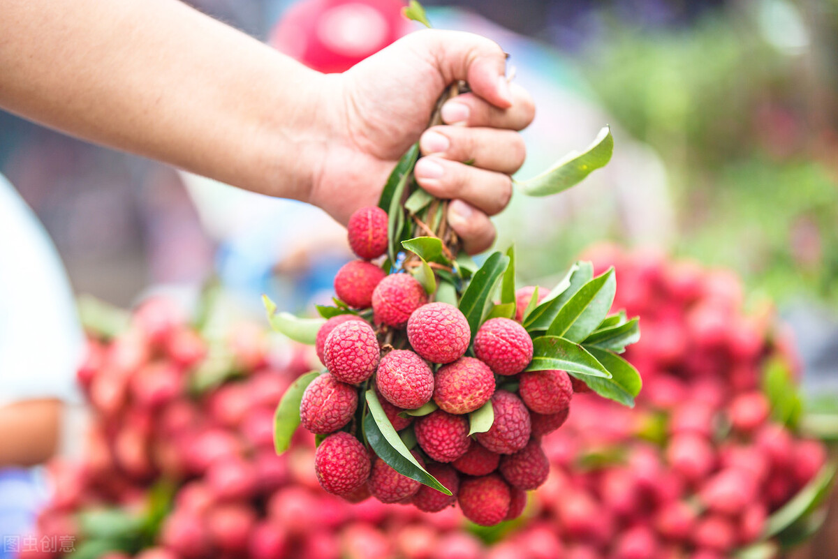 Fruit growers don't store lychees directly in the refrigerator. They ...