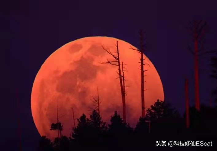 Rumors of bad omen recurring?The "Blood Moon" reappears in the night ...
