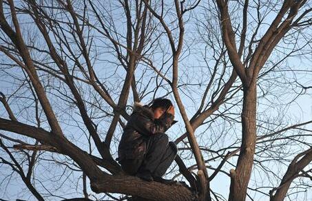 Do you remember that "Mr. Tree"?Can you not understand Mr. Tree created ...