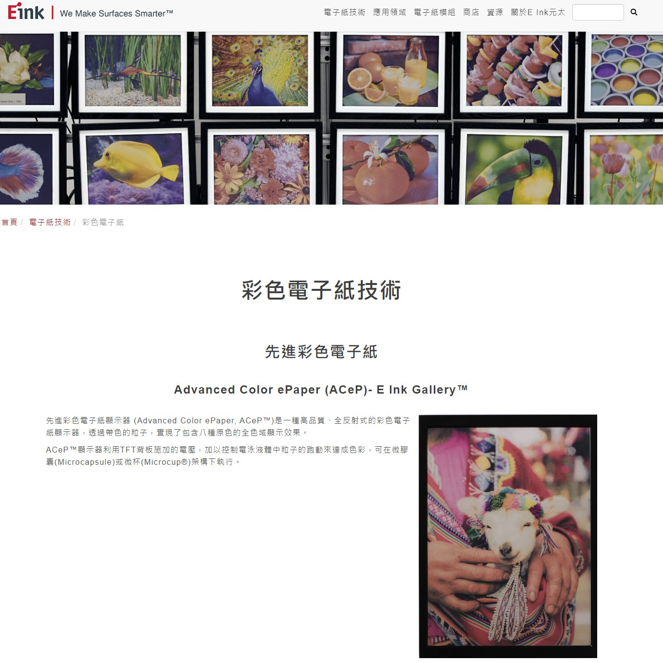 E-reader savior, the second generation of ACeP color electronic ink ...