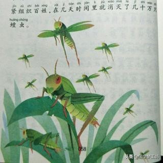 Yao Chong exterminated locusts. There was no pesticide in ancient times ...
