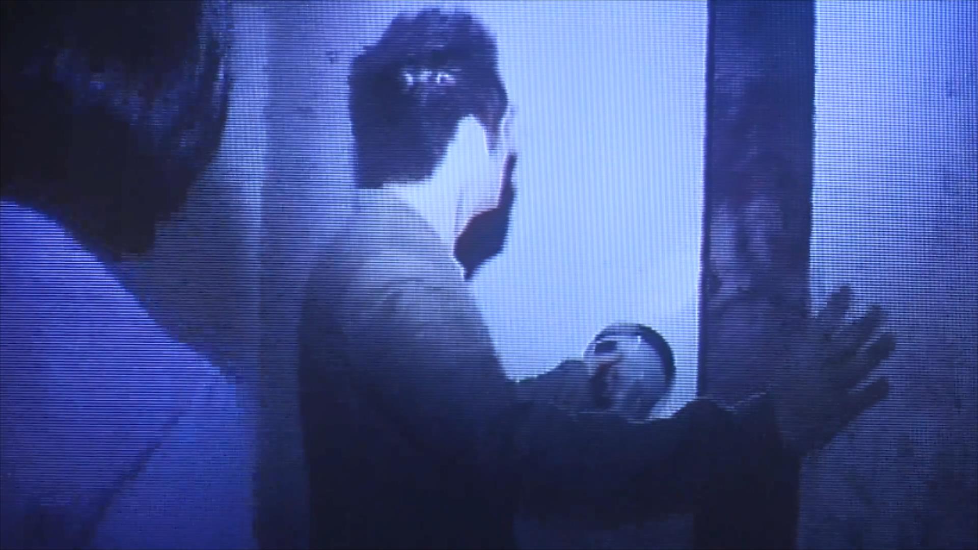 Twenty years have passed, and the only movie that can surpass "The ...