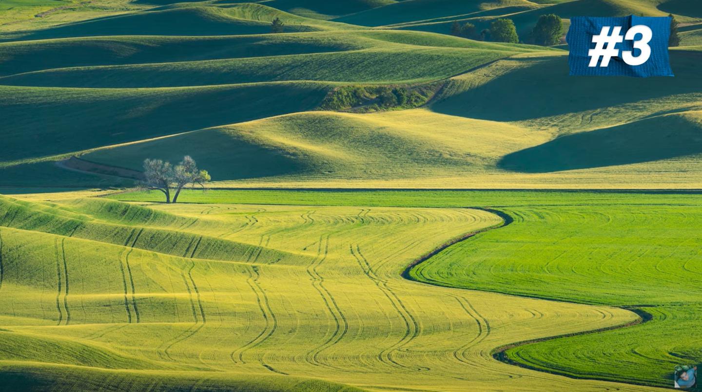 Three men recreate the classic Microsoft Windows XP wallpaper, the ...