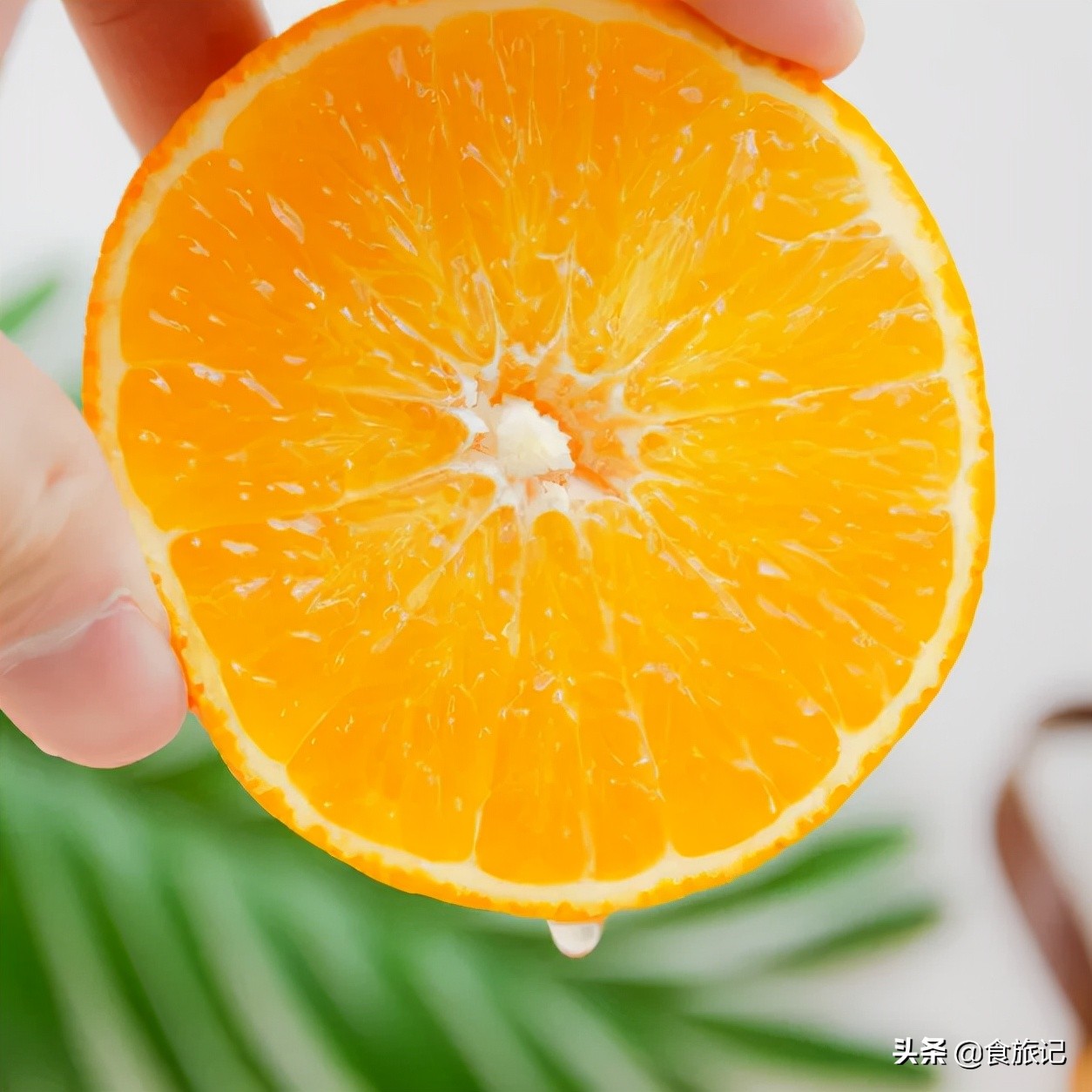 The orange flesh is tender like tofu!You can "suck" and eat, but also ...