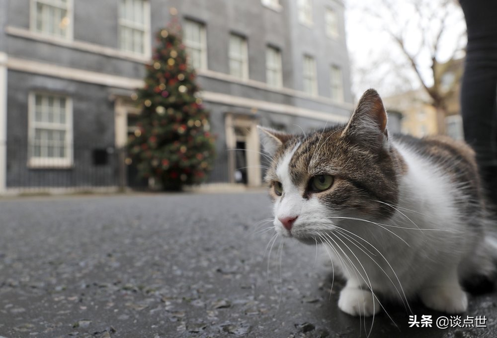 The 10th anniversary of the British Chief Rat Catcher has proven to the ...